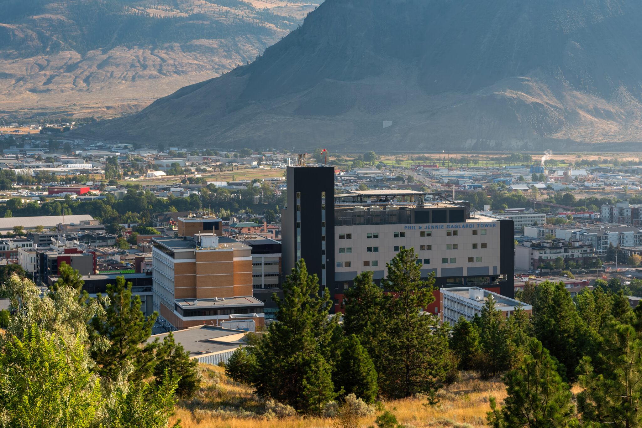 Our Hospital - RIH Foundation